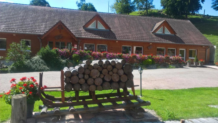 Logis Hôtel Restaurant La Petite Auberge Alsace - Le Hohwald