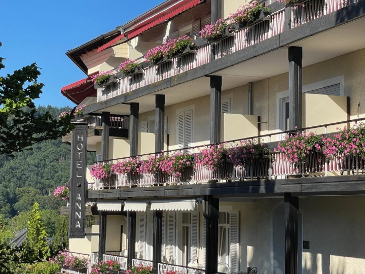 Hotel Anna - Badenweiler
