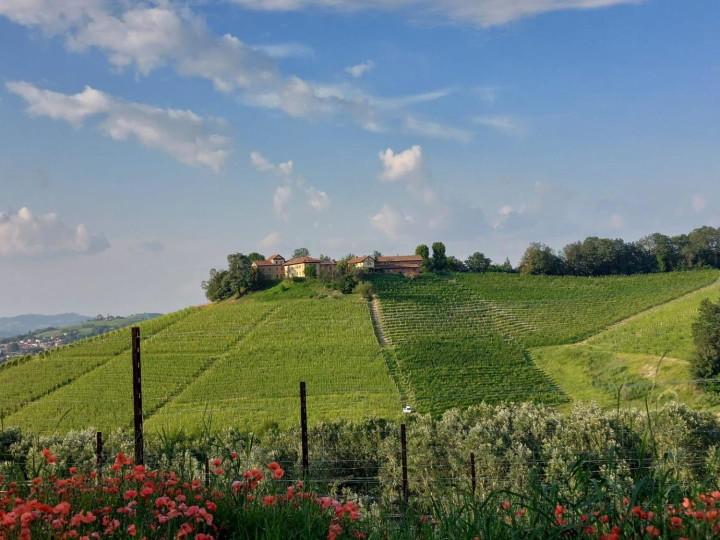 Tenuta Montanello B&b - Alba
