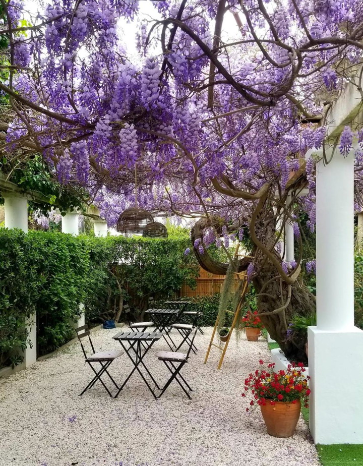 Chez Louis - Sainte-Maxime