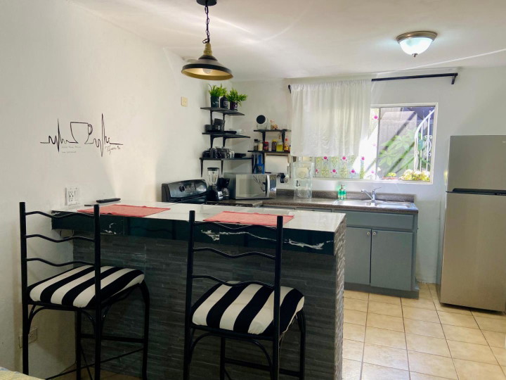 Zebra Studio - Tijuana
