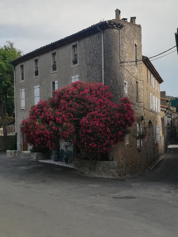 Chez Shona - Lagrasse