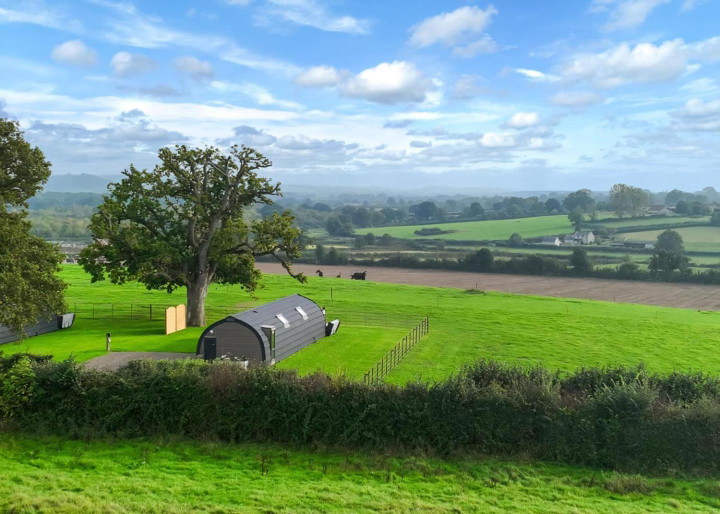 Firtree Farm Lodges - Dorset