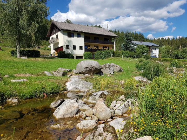 Haus Wiesengrund - Baiersbronn
