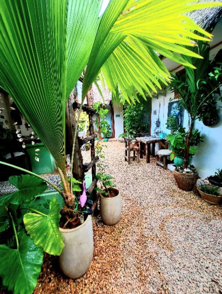 Mint Hause - Tanzanie