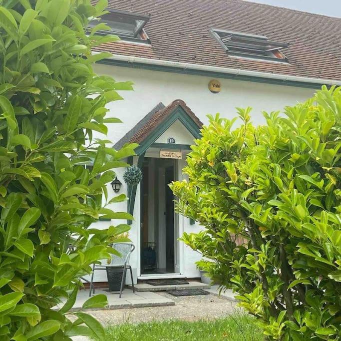 Bramble Cottage - Sleeps 5 - Ceredigion
