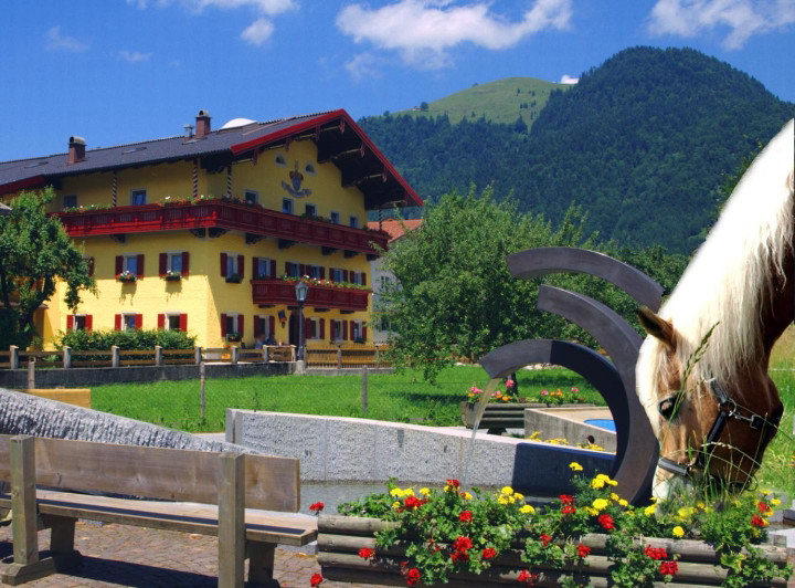 Reitanlage Dagnhof - Walchsee