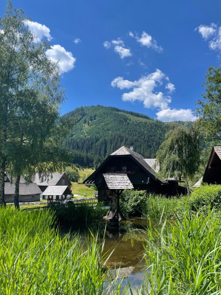 Ferienhaus Bettina Rassis Feriendorf Donnersbachwald - Austria