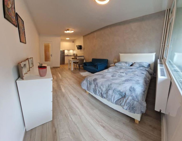Charming New Appartment Near Geneva - Divonne-les-Bains