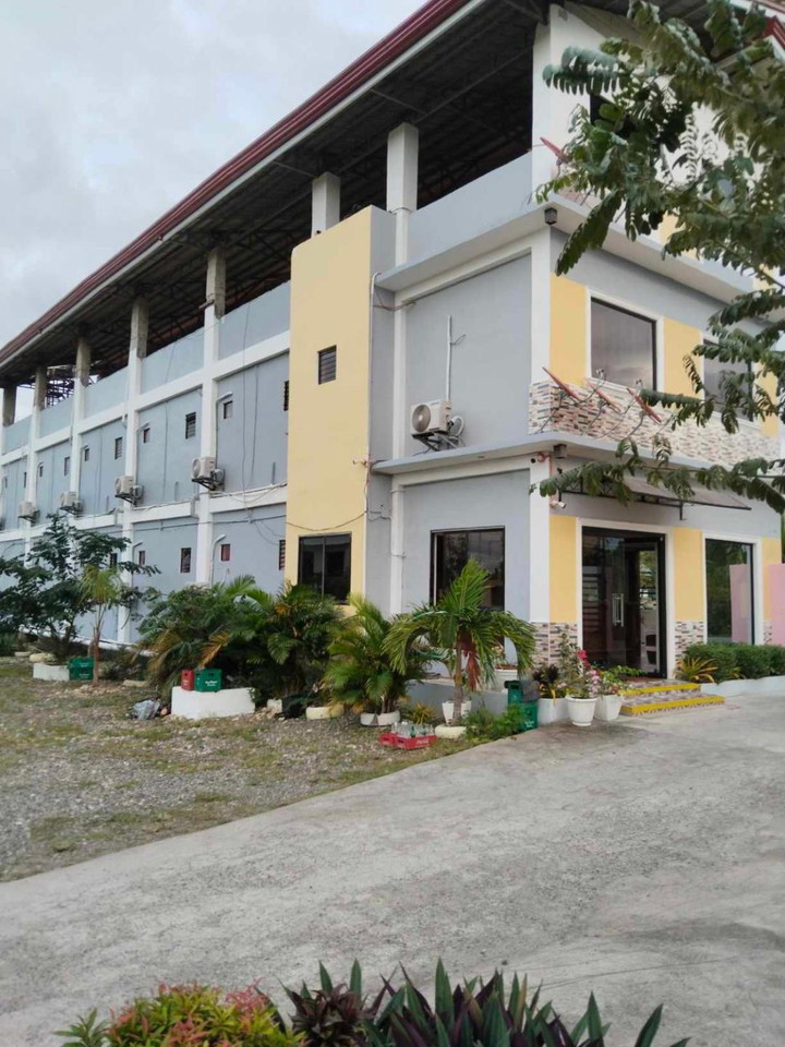 Althea Birds Nest Inn - Moalboal