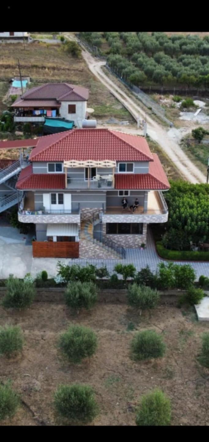 Guest House Ilir - Albania