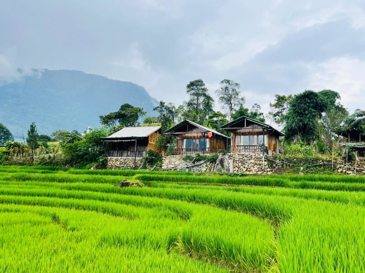 The Hilden Valley Happiness Bungalow - Vietnam