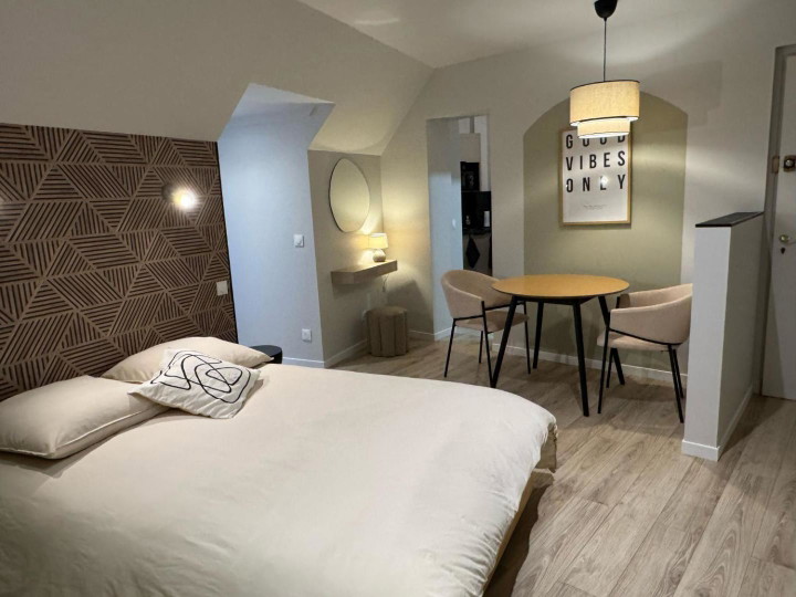 Magnifique Appartement Rénové Place Du Martroi - Orléans