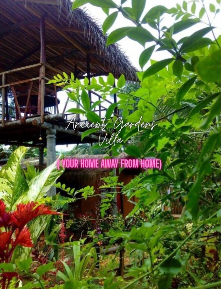 Ancient Gardens Villa - Sri Lanka