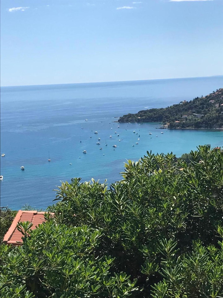 Il Mare Tra Gli Olivi - Menton
