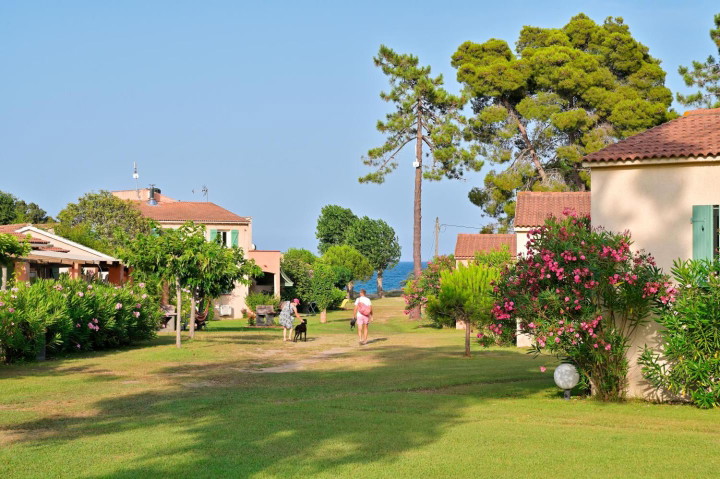 Pinea Mare - Corsica