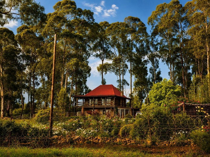 Pet Friendly Country Cottage Dullstroom - Dullstroom