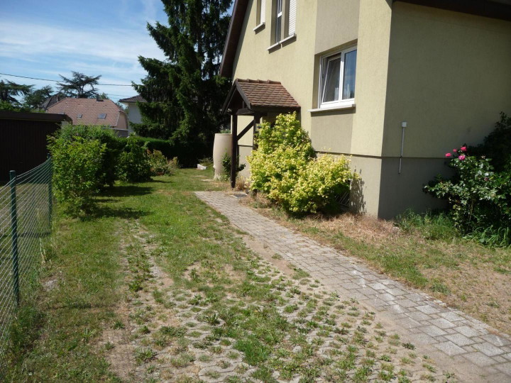 Appartement Sur La Route Des Vins D'alsace - Alsace