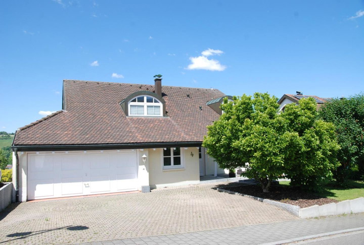 Villa Am Buck Lörrach Bei Basel - Weil am Rhein