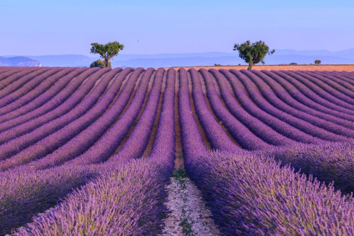 Cocon Authentique De Roussillon - Roussillon