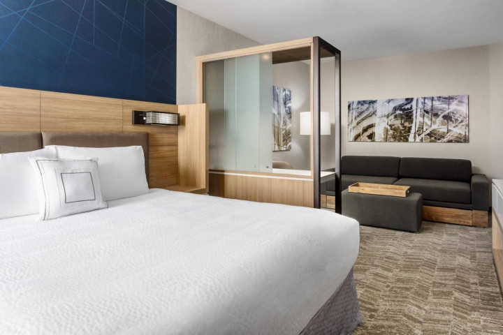 Springhill Suites By Marriott Belmont Redwood Shores - San Carlos, CA