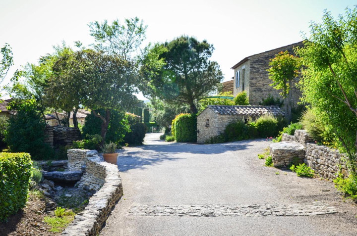Cigale De Gordes - Gordes