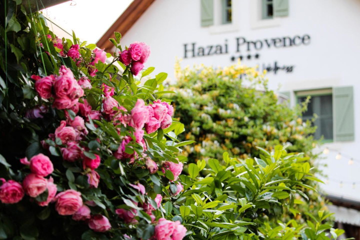 Hazai Provence - Veszprém