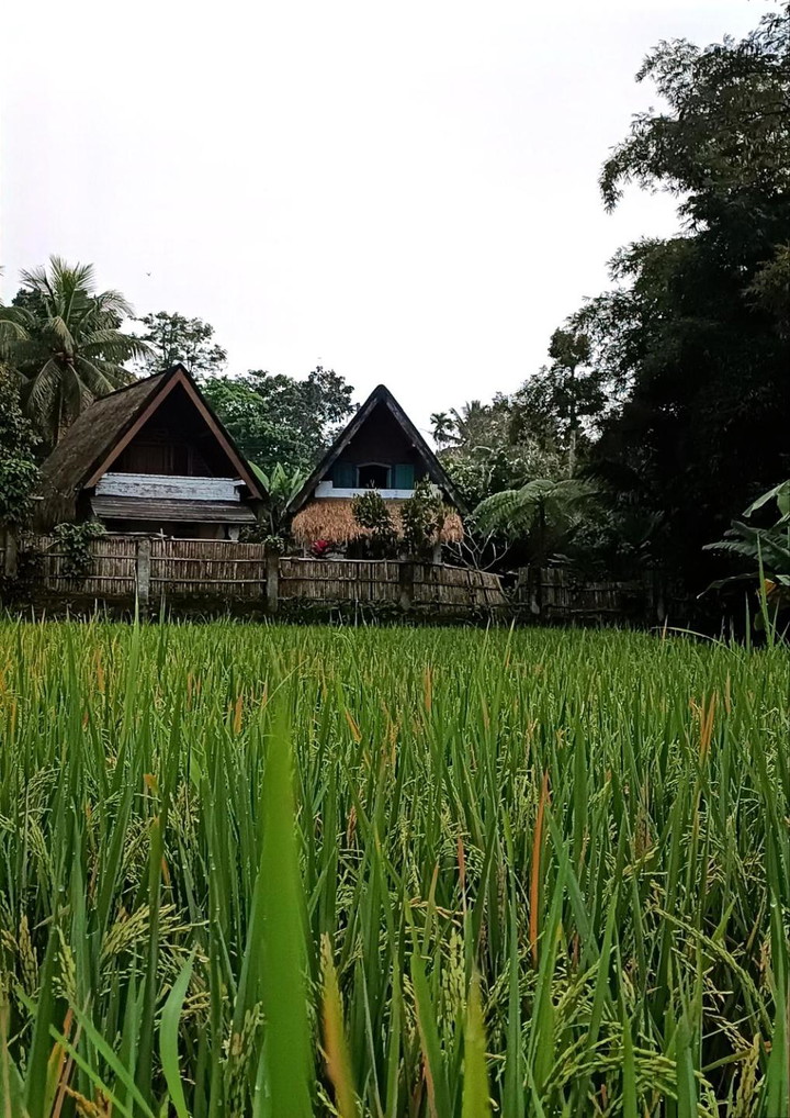 Bulan Bungalows And Kafe - Lombok