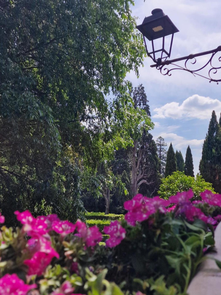 Vicolo D'este - Tivoli