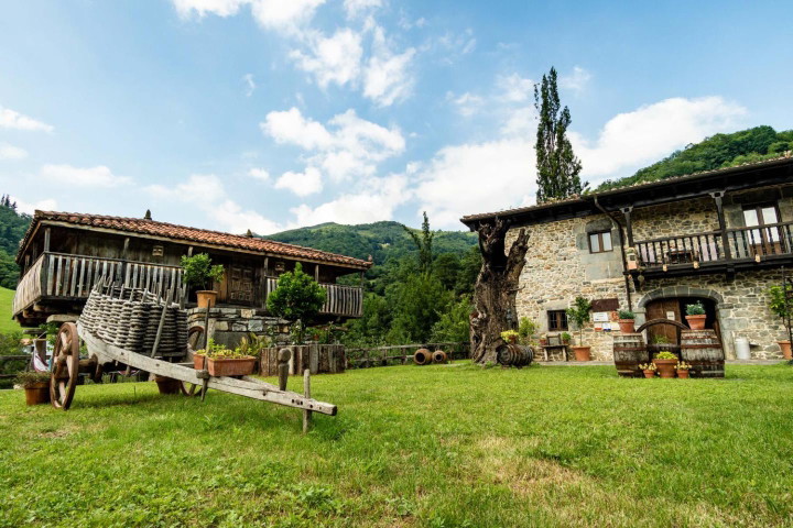 Casona De El Castañíu - Mieres del Camino
