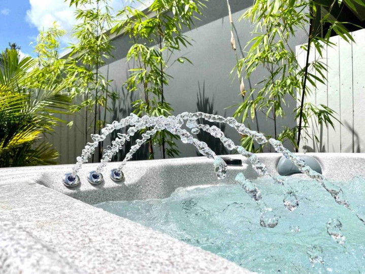 Botanical Gardens Spa Villa - Edge Hill Cairns Sleeps 9 Pet Friendly - Cairns