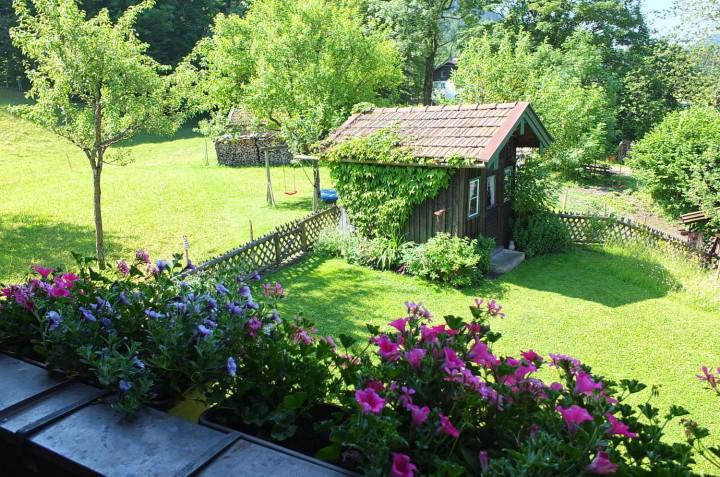 Ferienwohnungen Hamberger - Walchsee