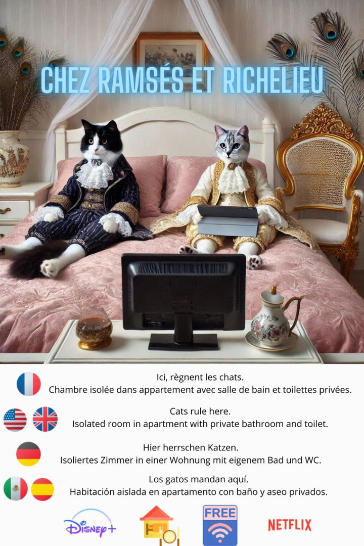 Chez Ramsés Et Richelieu - Pau