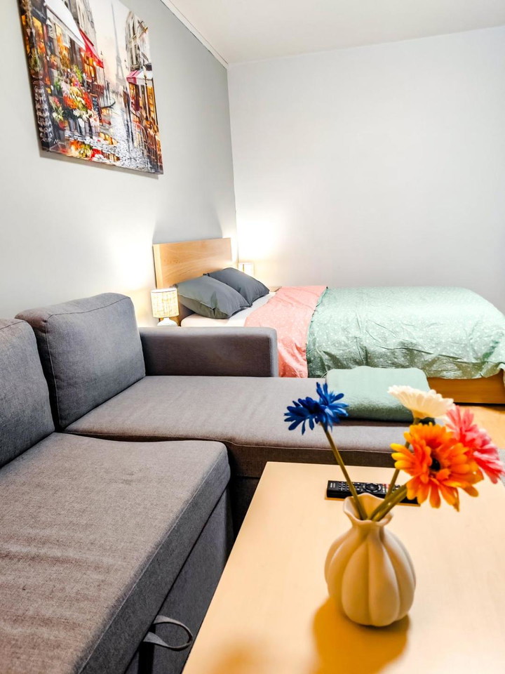 Spacious And Comfy Apartment, 15 Mins From Airport, 17 Minutes To City Center - Vantaa