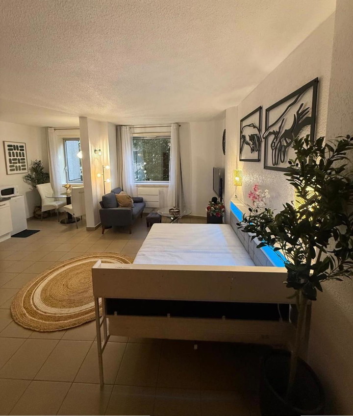 Large Cozy Studio - Annemasse - Close To Geneva - Annemasse