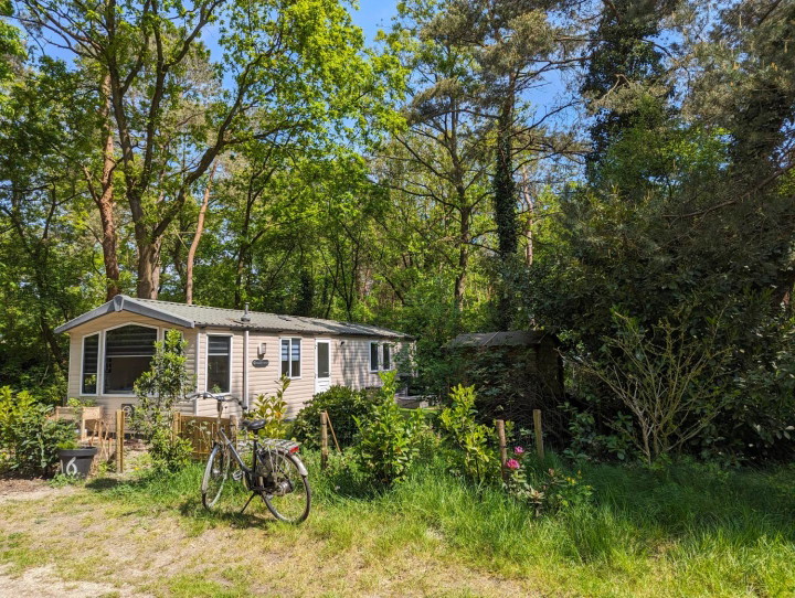 Ruim Chalet, Midden In Het Bos! - Nunspeet