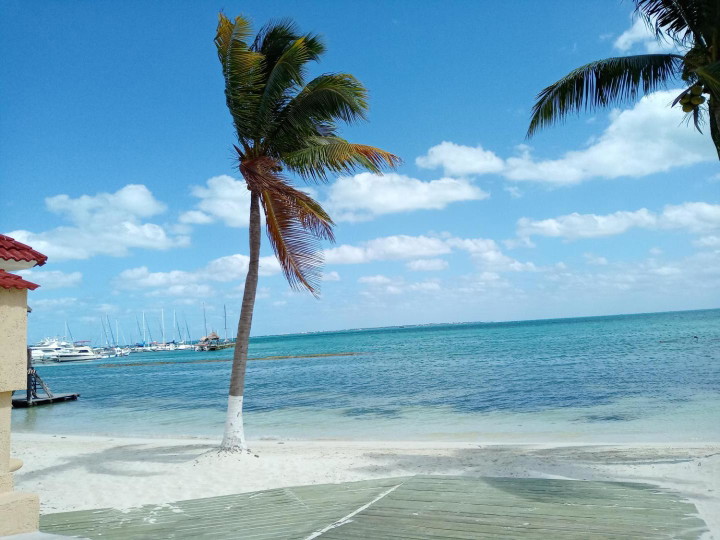Beautiful Condo A Few Steps To Sea - Isla Mujeres