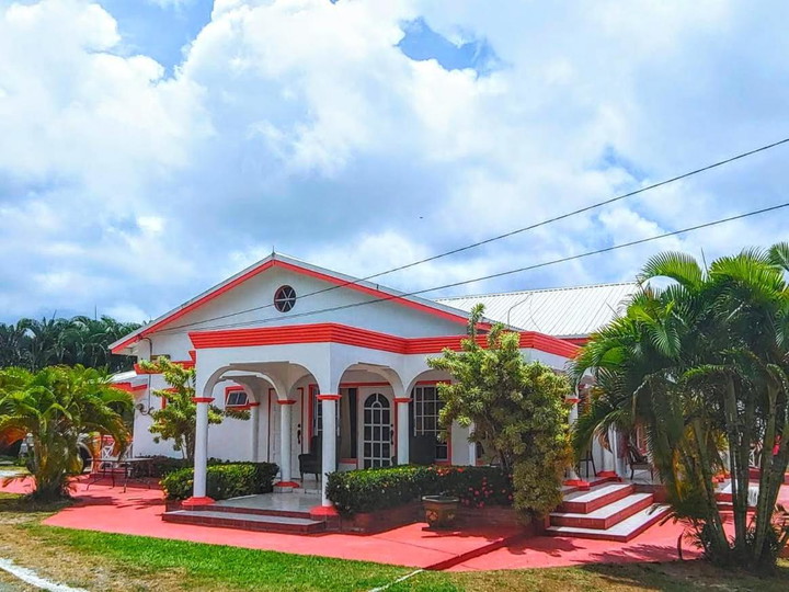 Sunny Palm Villas - Santa Lucía
