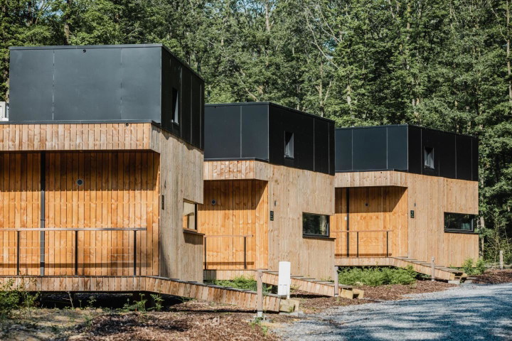 Forest Cube Recharge - Viroinval