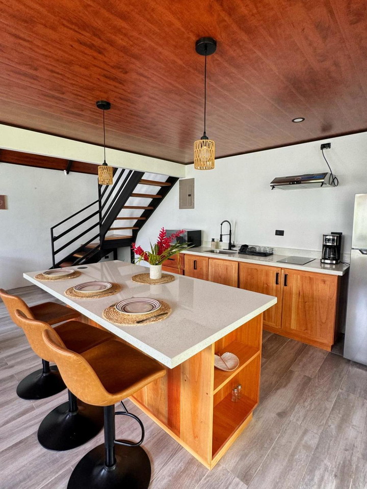 Alma Vida Lofts - Costa Rica