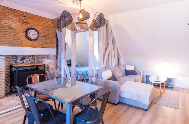 Historic Rennes Cozy Apartment - Rennes