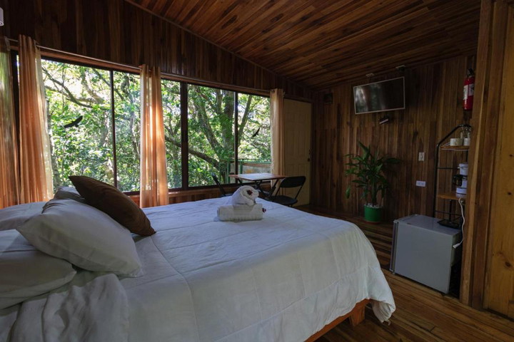 The Green Tree Lodge - Costa Rica
