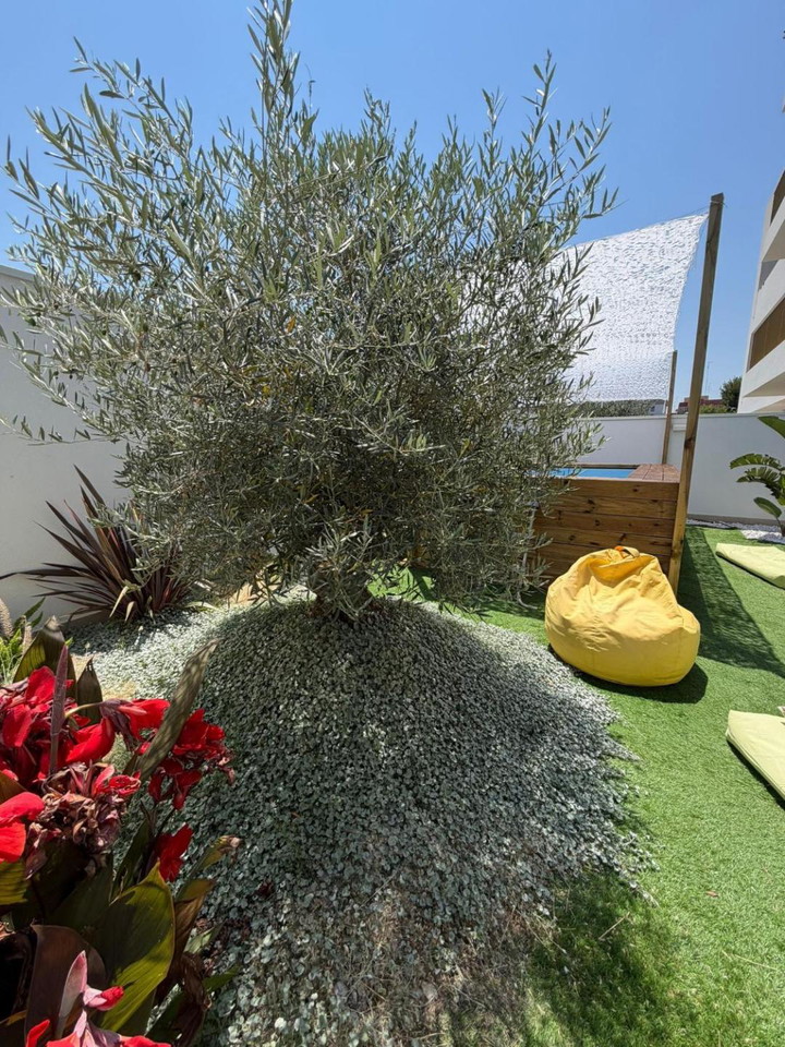 M4ree Seaside Suites & Relax - Bari