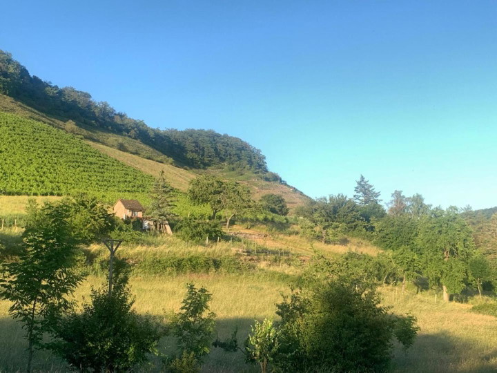 Fewo In Spielberg - Brackenheim