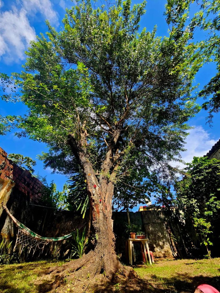 Casa 37 - Guesthouse - Salvador de Bahía