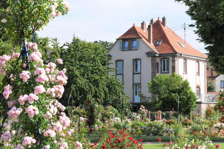 Le Jardin Des Roses - Saverne