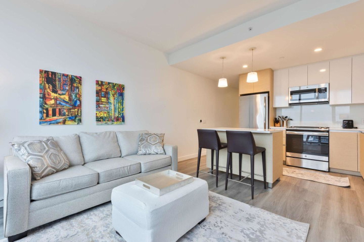 Luxury Apt Downtown - Beacon Hill - Boston