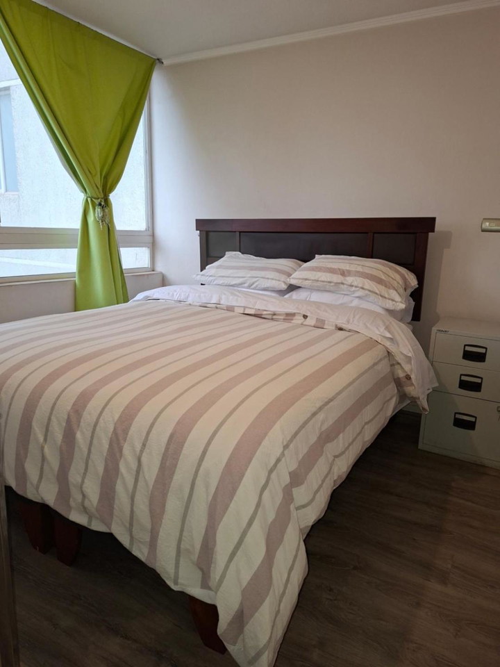 Habitacion Privada En Santiago Centro A Pasos Del Movistar Arena - Santiago