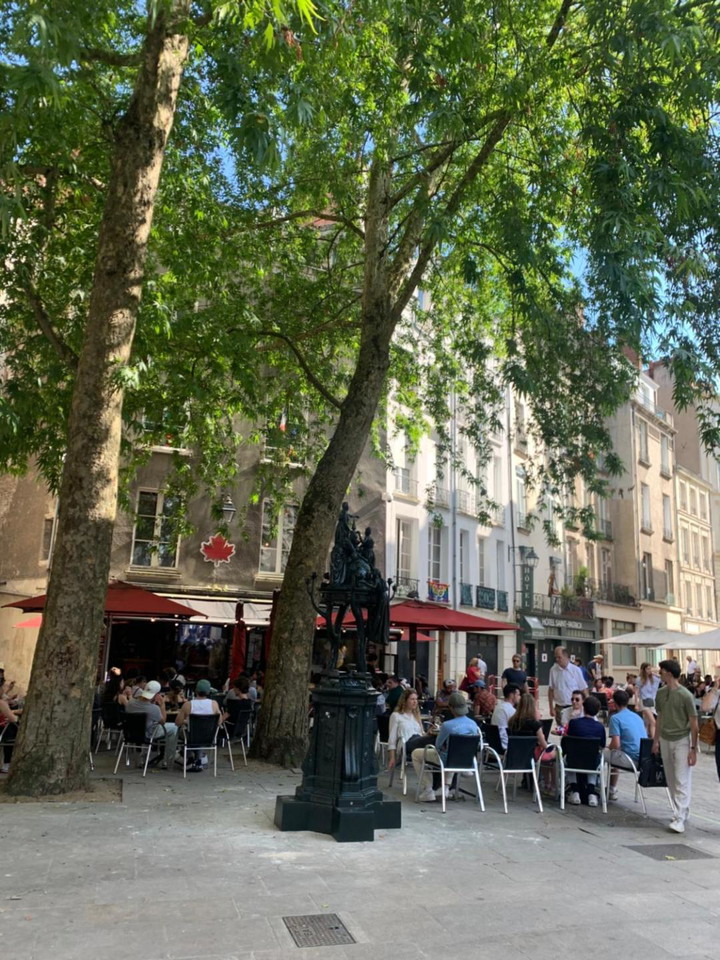 Hôtel Saint-patrick Cœur De Nantes - Orvault