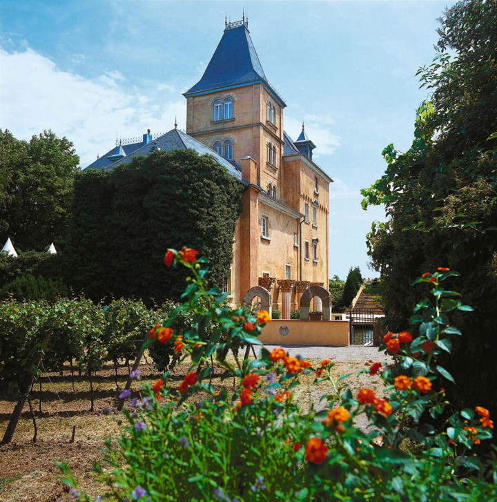 Hotel Schloss Edesheim - Edesheim